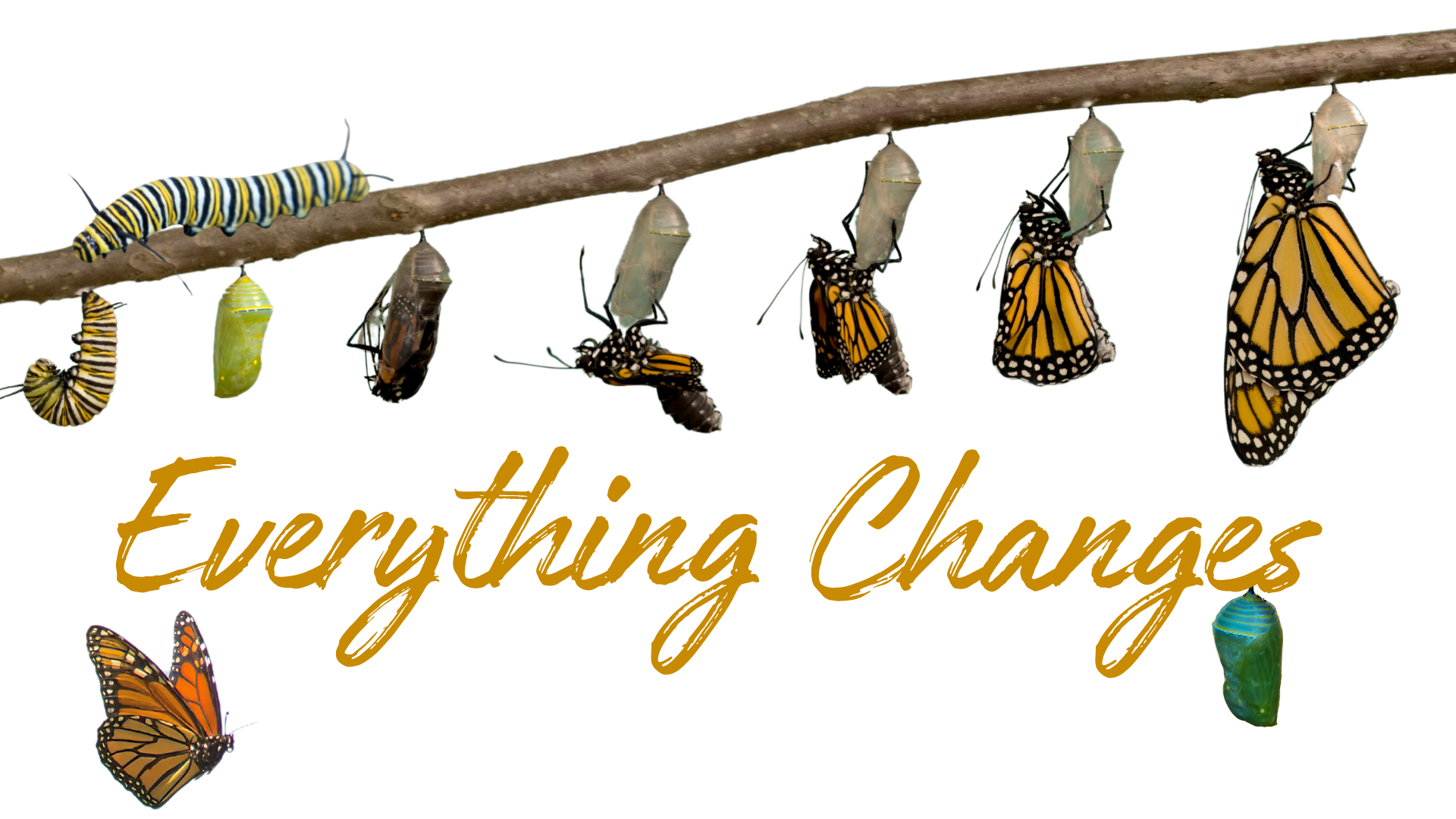 Messages | First Baptist Church of Upper Burrell